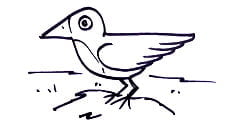 bird – Shoo Rayner