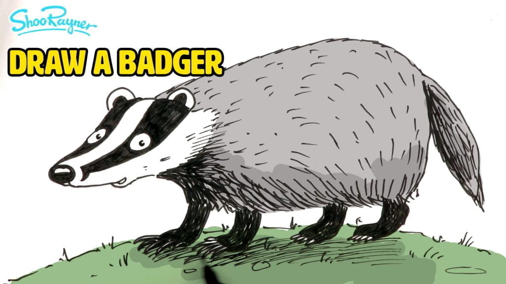 How to Draw a Badger – Shoo Rayner