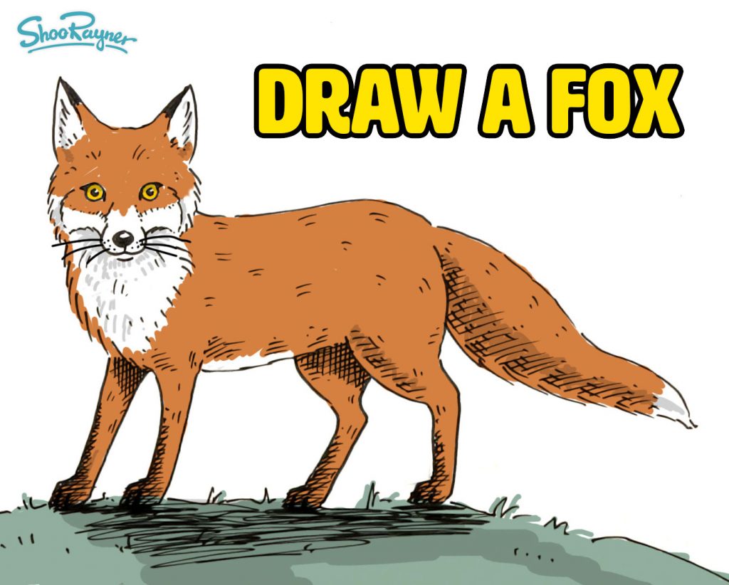How to draw a fox – Shoo Rayner