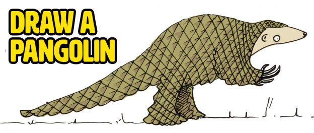 How to draw a Pangolin – Shoo Rayner