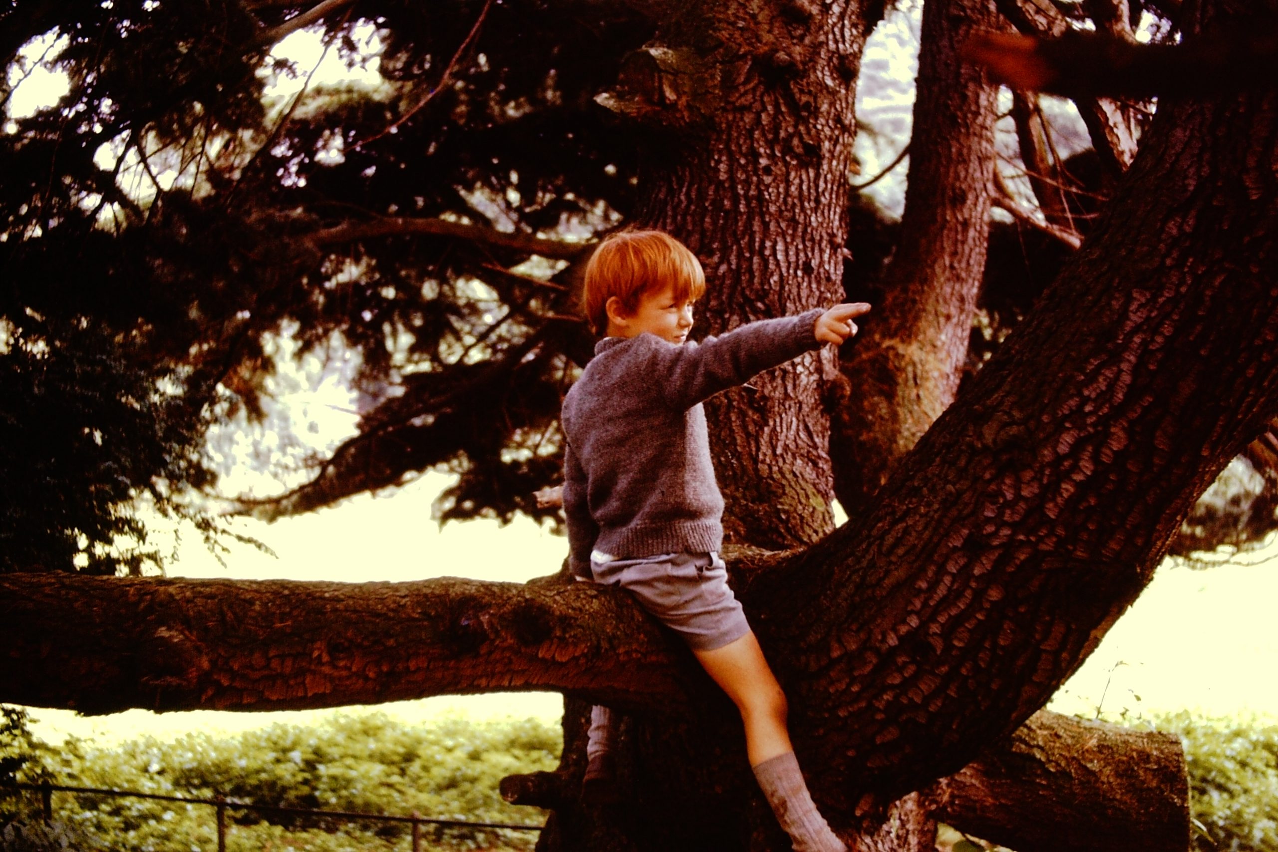 How cute was I? | Shoo Rayner – Children's Author